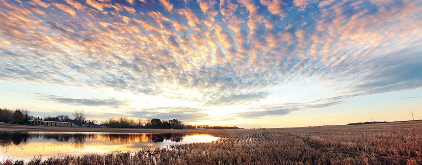 Cheap flights to Brandon (YBR) | WestJet