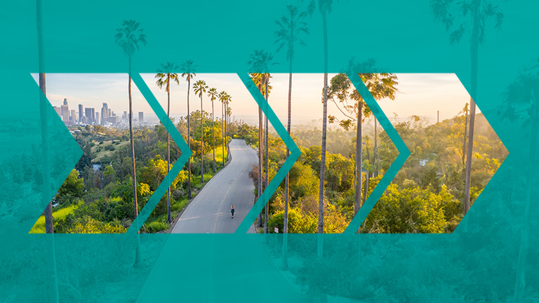 Offers and promotions | WestJet official site