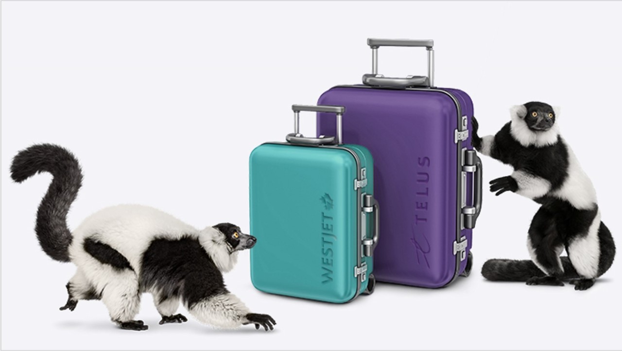 WestJet and TELUS form partnership to revolutionize guest experience ...
