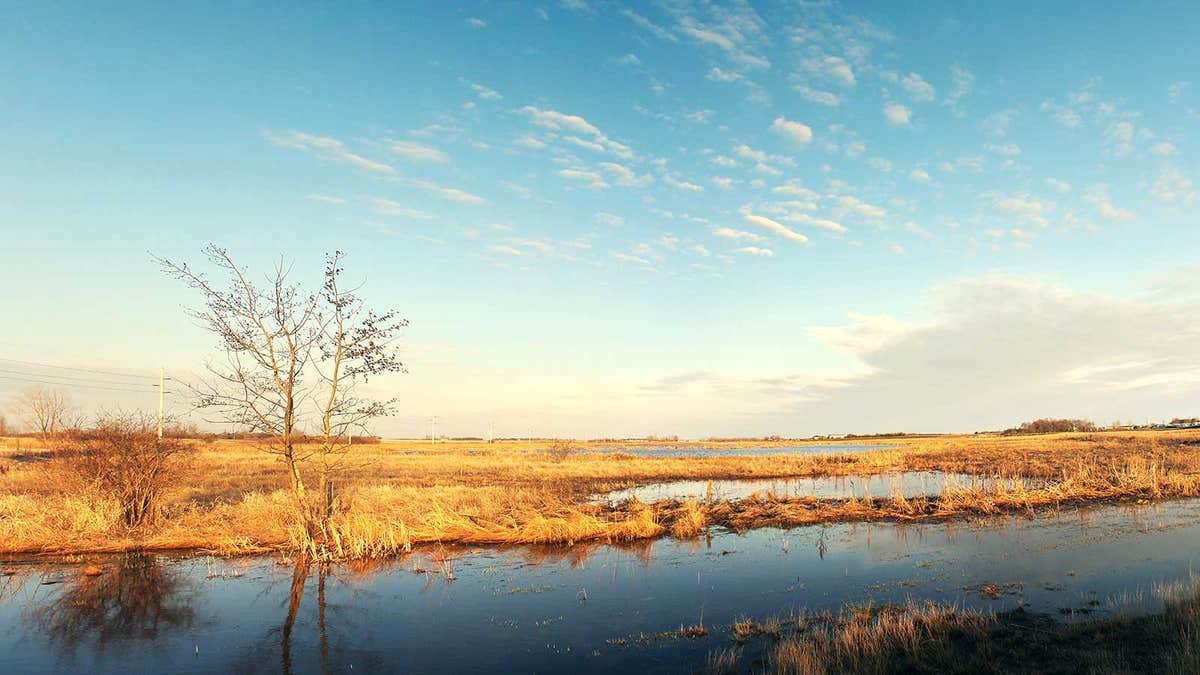 Flights from Brandon (YBR) | WestJet official site